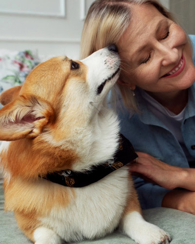 State Street Veterinary Hospital - Veterinarian in Boise, ID